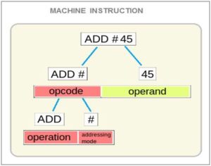 What Is Machine Cycle ? | Instruction Cycle And Machine Cycle