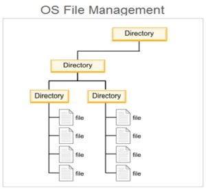 Operating System | Computer Operating System Types , Functions