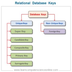 Relational Database | Learn Relational Database Model RDBMS