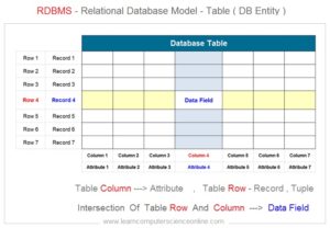 Entity Relationship Diagram ( ERD ) | Explained ER Model In DBMS