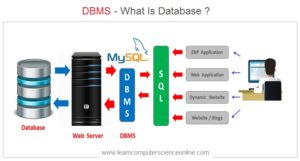 Database Management System | What Is DBMS | Types Of DBMS