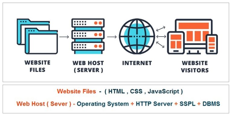 Web Design And Development | How to learn Website Design | SEO Tools