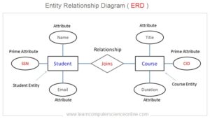 Entity Relationship Diagram ( ERD ) | Explained ER Model In DBMS