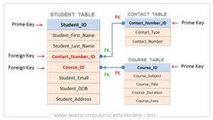 Entity Relationship Diagram ( ERD ) | Explained ER Model In DBMS