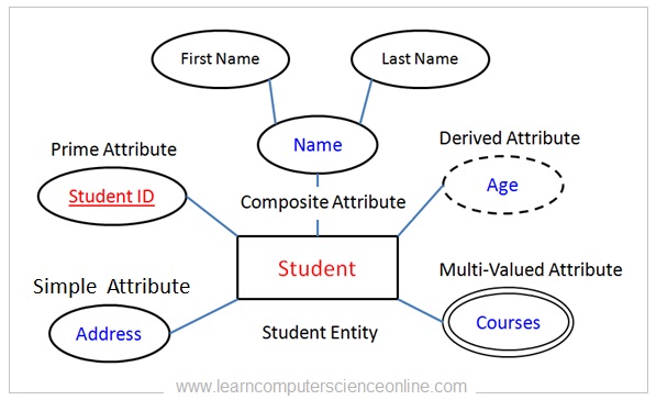 Entity Relationship Diagram ERD Explained ER Model In DBMS