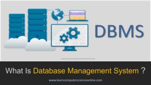 Database Management System | What Is DBMS | Types Of DBMS